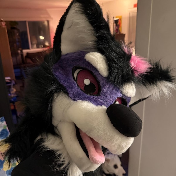 Fennec Fox Fursuit Partial, Fox Fursuit Head and Hand Paws, Premade Fursuit - Etsy Canada