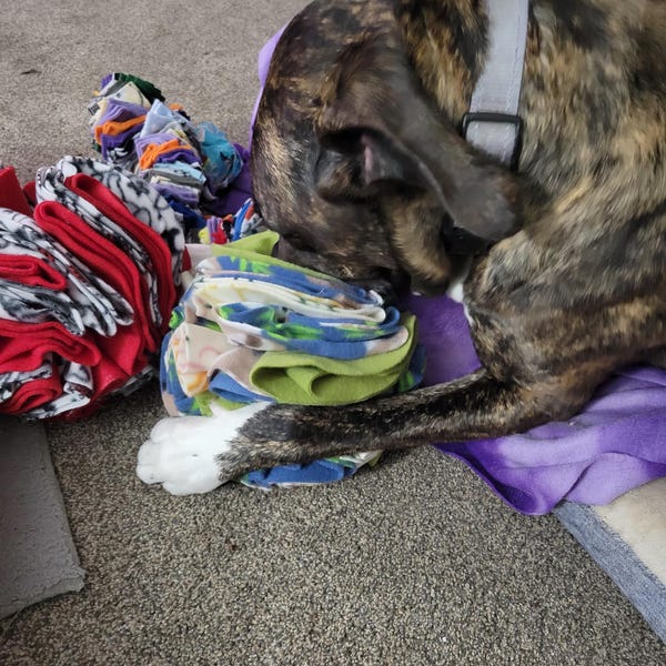 18" Pet Snuffle Rope - Etsy