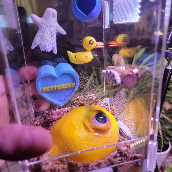 Realistic Life Sized Freaky Fruit All Seeing Lemon by Dead Head Props ...