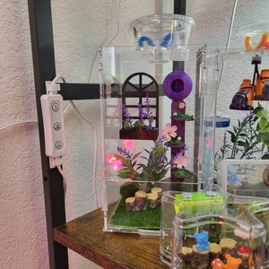 Jumping Spider Enclosure for Slings & Small Spiders - Etsy