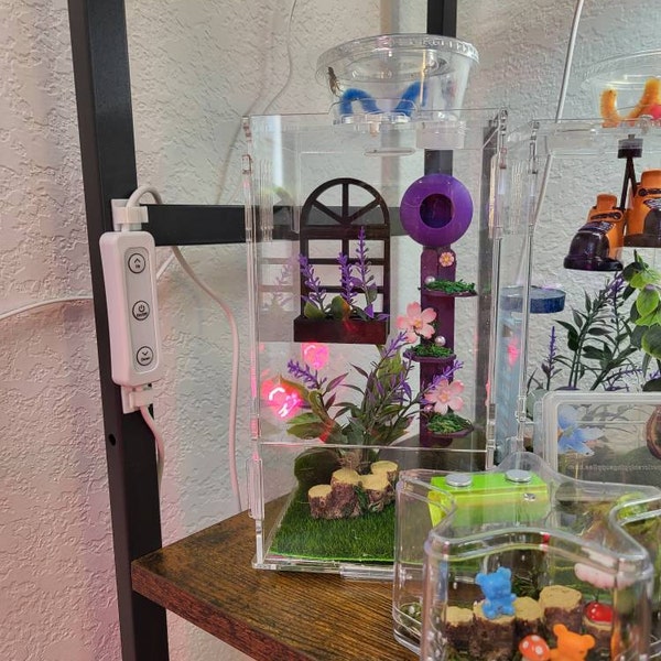 Jumping Spider Enclosure Pink Cute Girly Owl Spider Home Terrarium ...