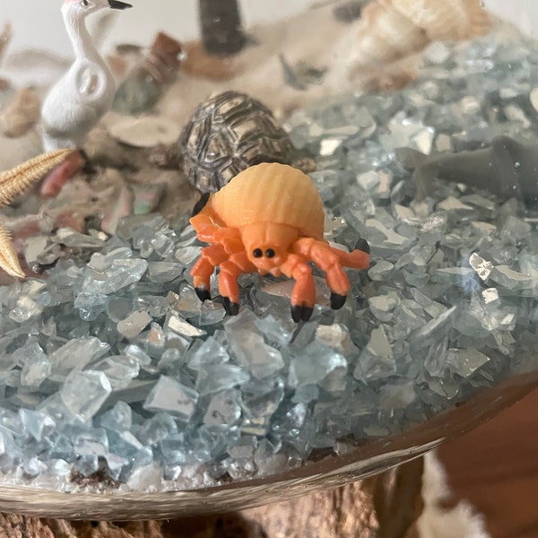 Miniature Crab, Mini Hermit Crab, Beach Garden Supplies, Terrarium ...