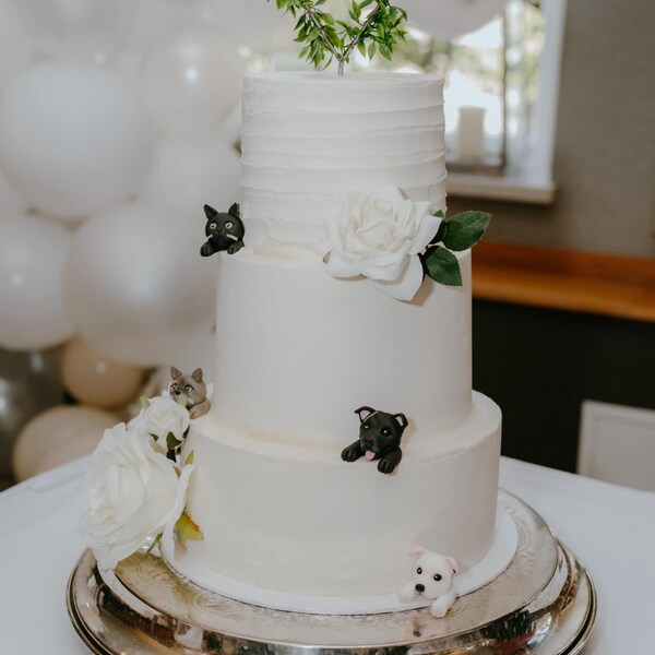 Toothless Dragon/light Fury Dragon Fondant Cake Topper - Etsy