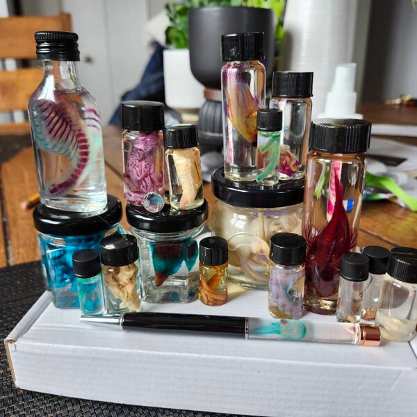 Mystery Oddity WET SPECIMEN Surprise Box - Animal Kingdom - Etsy