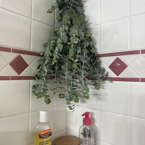 Fresh Eucalyptus Shower Bundle, Eucalyptus Shower Bundle, Indoor ...