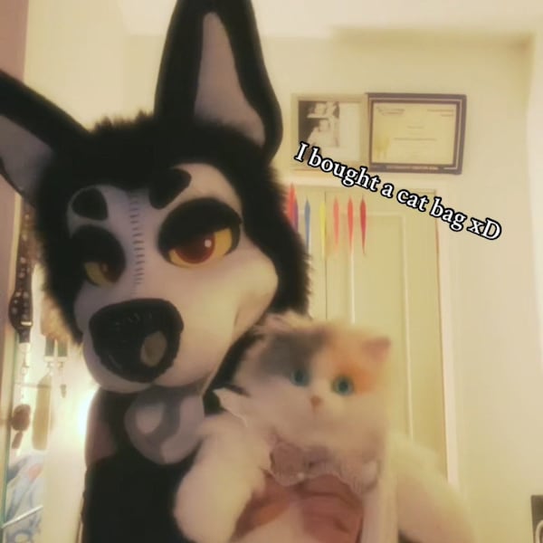 Handmade Calico Cat Backpack: Plush Convertible Bag - Etsy