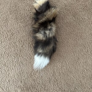 Glacier Wear Skunk Fur Davy Crockett Hat Hts1785 - Etsy