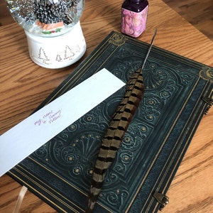 Pheasant Feather Quill Pen With Pointed Steel Nib, Calligraphy Dip Pen ...