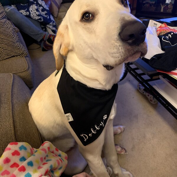 Nautical Anchor Dog Mom Matching Set W/scrunchie Unisex Pocket T-shirt ...