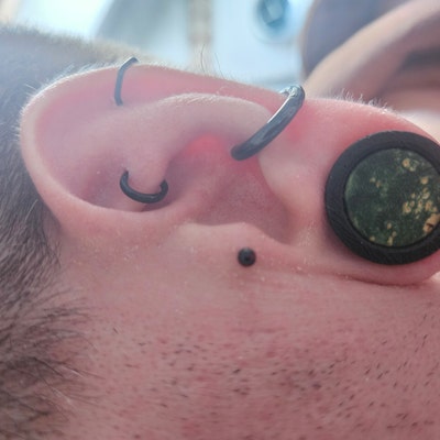 Organic Ear Plugs With Green Wood Inlay Wooden Green Gauges 10 12 14mm ...