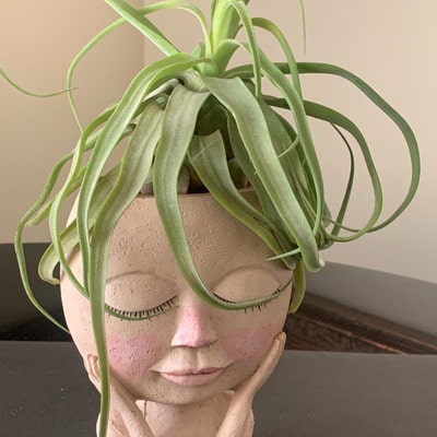 11 Wood Cake Stand, Log Cake Stand, Tree Bark Cake Stand, Tree Slice ...