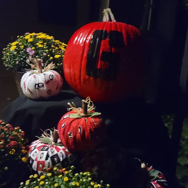 Uga,fabric College Pumpkin, Fall Decor, Autumn Decor, College Football ...