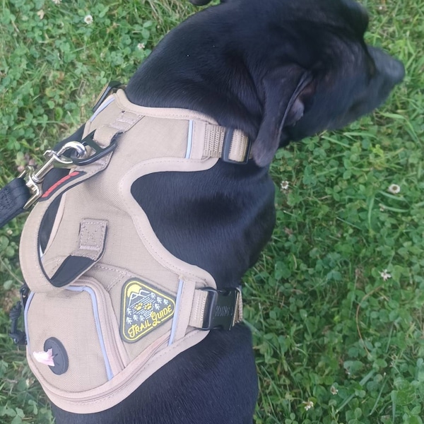 Adventure Buddy Patch for Dogs Iron-on Velcro - Etsy