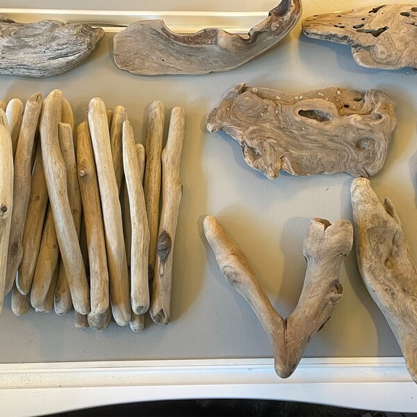 25 Pieces of Large Surf Tumbled California Driftwood Sticks Beach Decor ...