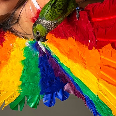 Rainbow PRIDE Feather Wings Carnival Costume Festival Wings, LGBTQ ...