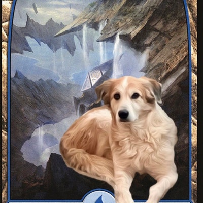 Personalized Pet Magic the Gathering Foil Land - Etsy