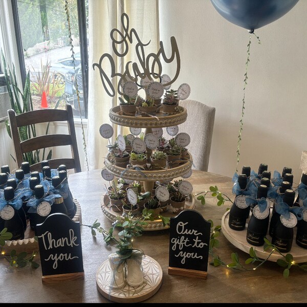 Shadow Birthday Party Decorations, Shadow Party Supplies, Shadow Theme ...