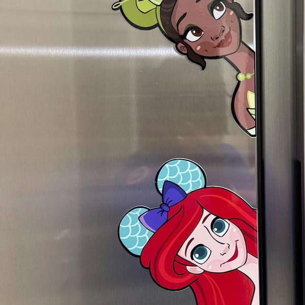 Disney Inspired Princess Side Door Magnet for Disney Cruise Door, Elsa ...