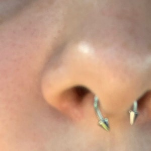 16g Horse Shoe Septum, Captive Ring, Spiked Septum, Septum Ring ...