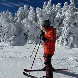 Silver Ski Evolution Sticker - Etsy