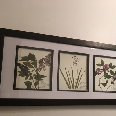 Purple Flower Print Set of 6 Purple Wall Art Purple Botanical Print ...