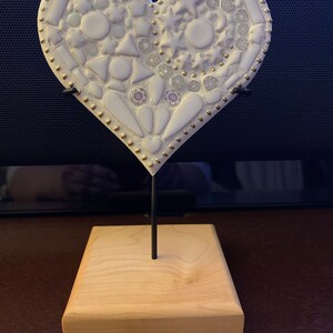 Real Mako Shark Fossil in Display Case Diver Direct - Etsy