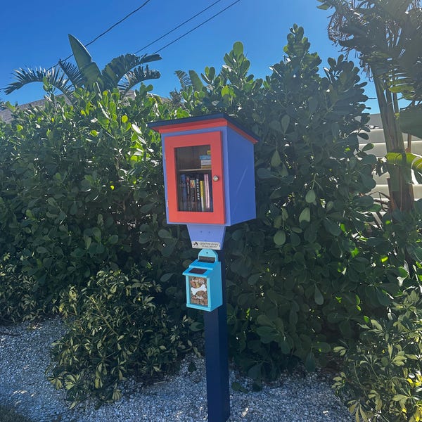 Neighborhood Book Library/blessing Box--one Color With Metal Roof and ...