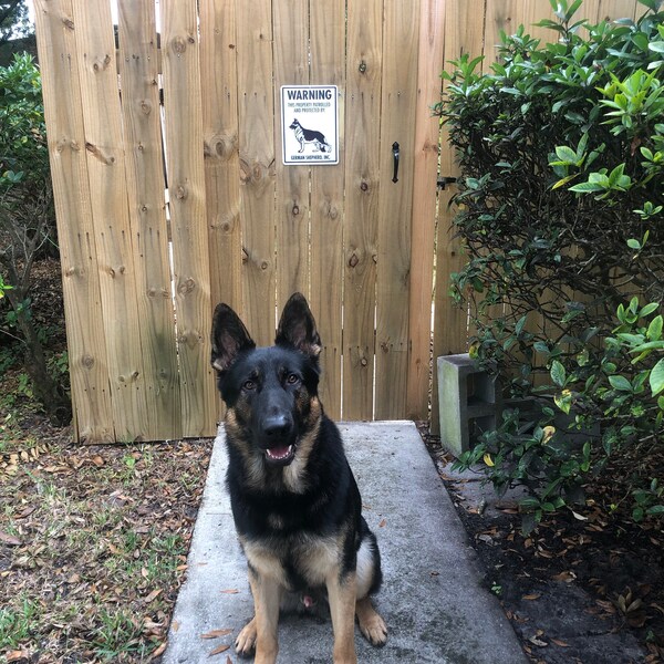 Warning! German Shepherd - Property Protected and Beware Aluminum Dog ...