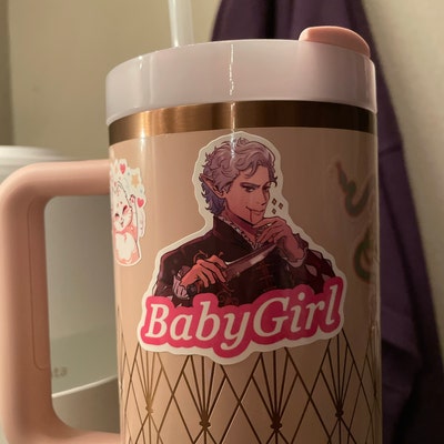 Fanmade BG3 Companion Sticker Pack - Etsy