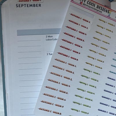 Canva Template Rainbow Newsletter Editable Newsletter for Teachers ...