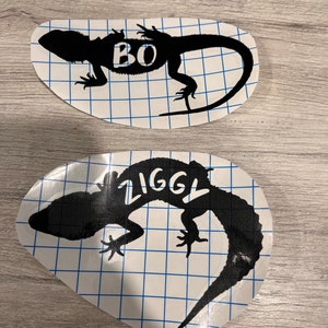 Customizable Name Skink Fire Banded Lizard Vinyl Decal READ - Etsy