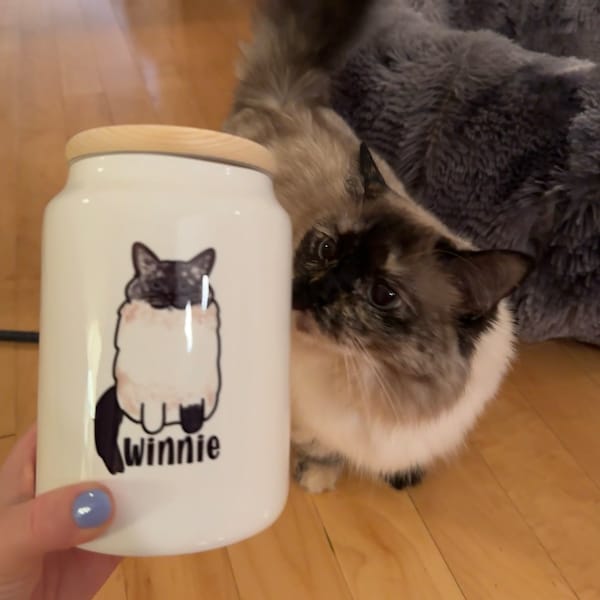 Personalized Cat Treat Jar, Cat Treat Jar, Cat Treat Canister, Hand ...