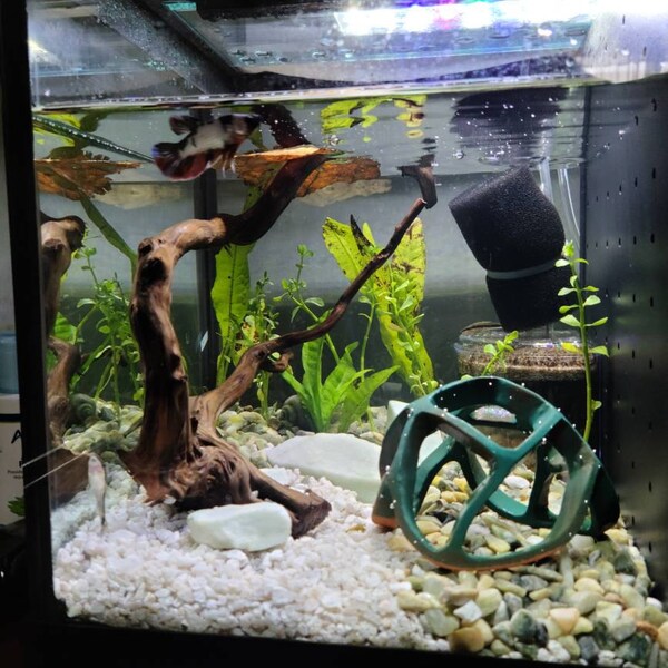 Aquarium Accessory. Fish Aquarium Decor. Blue Ceramics Decor. - Etsy