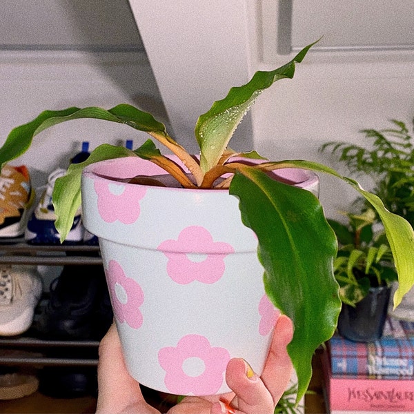 Hand Painted Baby Blue Bumble Bee Indoor Plant Pot, Terracotta Planter ...