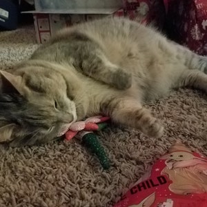 Pittsburgh Cat Toy Cell Phone | Etsy