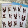 Hippo Sticker Sheet - Etsy