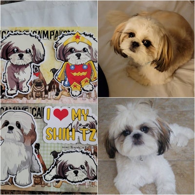 Shih Tzu Vinyl Sticker, Shih Tzu Sticker, Funny Dog Sticker, Dog Lover ...