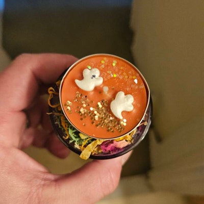 Real Bobcat Toe Bone Curiosity Jar Bone Terrarium Oddity Jar - Etsy