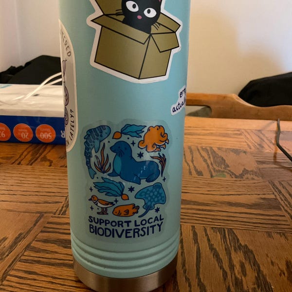 Support Local Biodiversity Clear Vinyl Stickers | Appalchia, Midwest ...