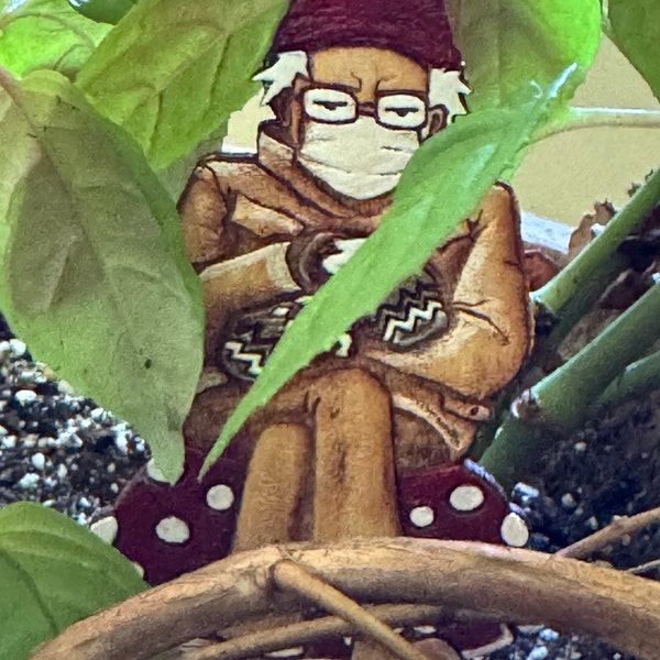 Bern in a Fern - Grumpy Bernie Garden Gnome Plant Stake - Handmade in ...
