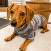 Dog Sweater Dachshund Clothes Dog Clothes Dog Coat Dog - Etsy