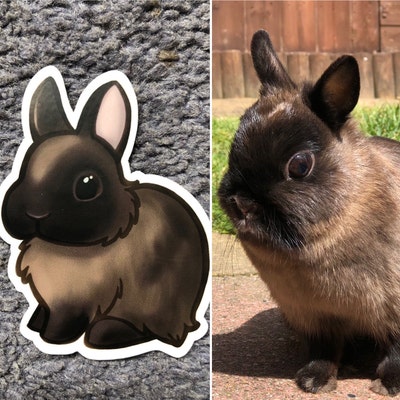 Siamese Sable Dwarf Rabbit Sticker Printed Chibi Dwarf Bunny Vinyl ...