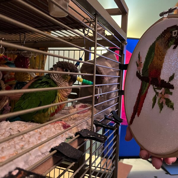 Cross Stitch Pattern Blue Flower Sampler Instant Download PDF Counted ...