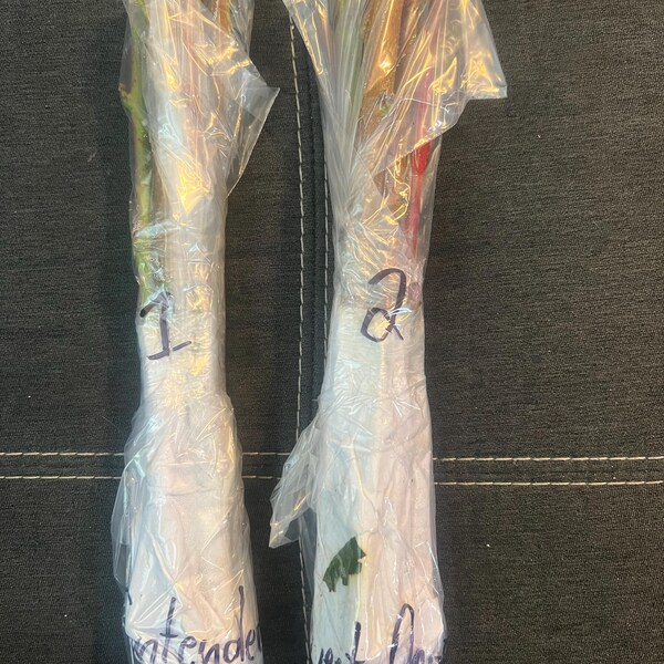 10 MARS GRAPE Cutting / Fruit Tree Scion / Scionwood / Wood / Rooting ...