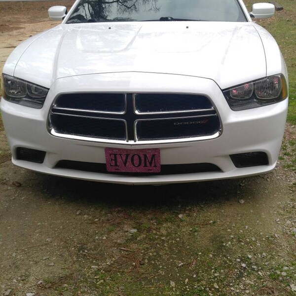 Glitter License Plate. License Plate Frame. Faux Glitter Design License ...