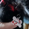 Shrimp Pet Tag, Food Dog Tag, Dachshund Accessories, Fish Cat Tag ...