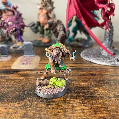 Shell Spike Turtle DND TTRPG Premium Quality ECO Resin by Lord of the ...