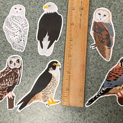 Alpha Phi Sticker Pack, Sorority Stickers, Alpha Phi Flag, Alpha Phi ...