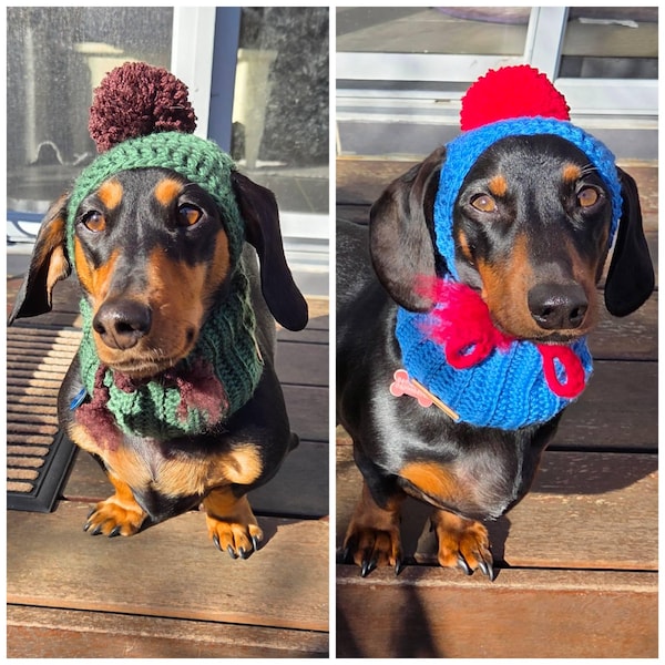 Dog Beanies, Crochet, Sausage Dog, Dachshund, Weiner Dog, Beanie, Large ...