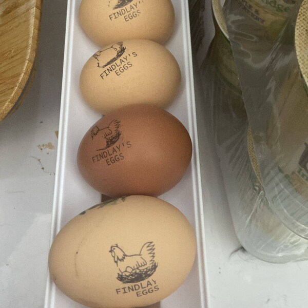 Mini Egg Stamp Homesteading Farm Stamp Egg Marking Egg Stamper Egg ...
